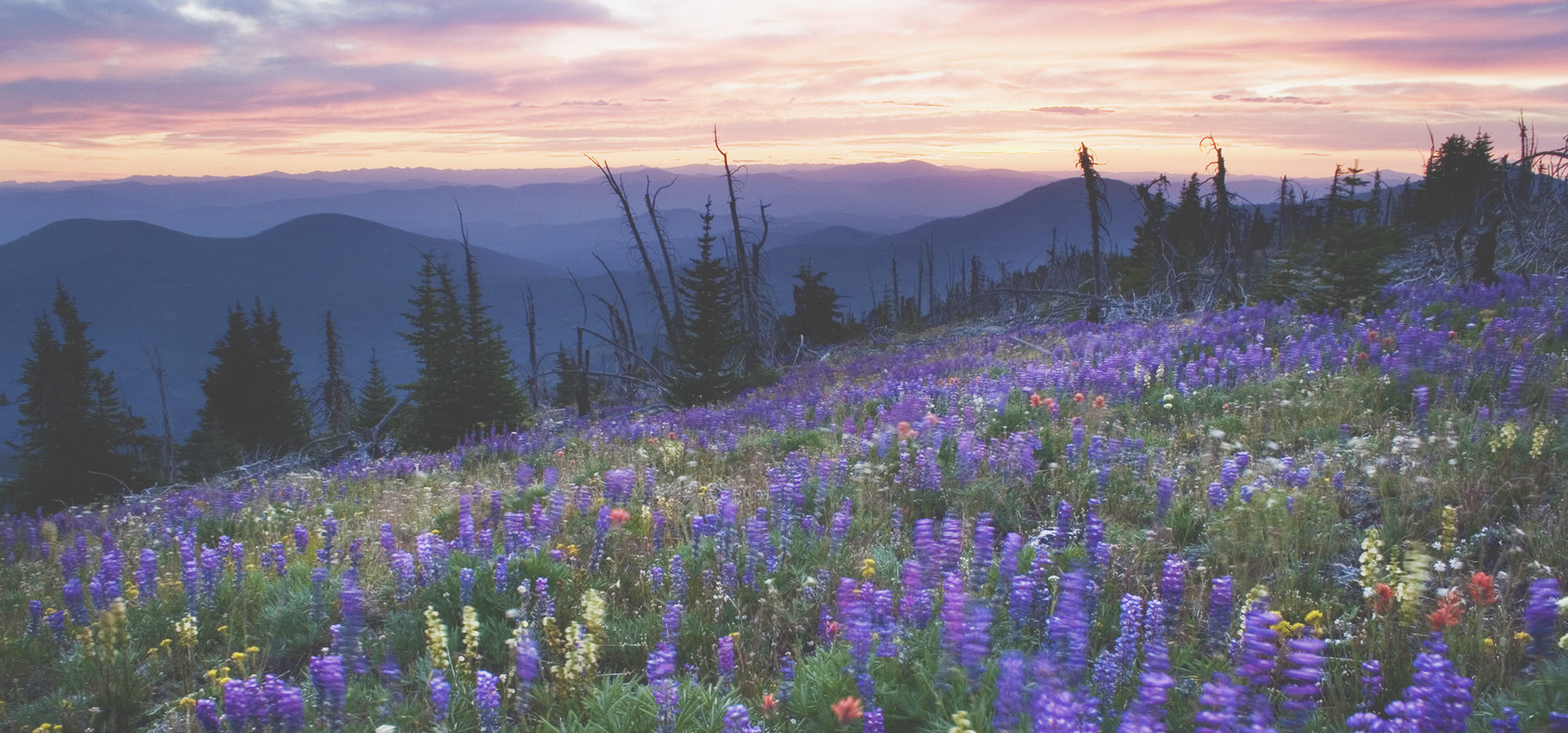 Colville Wild Campaign | Conservation Northwest