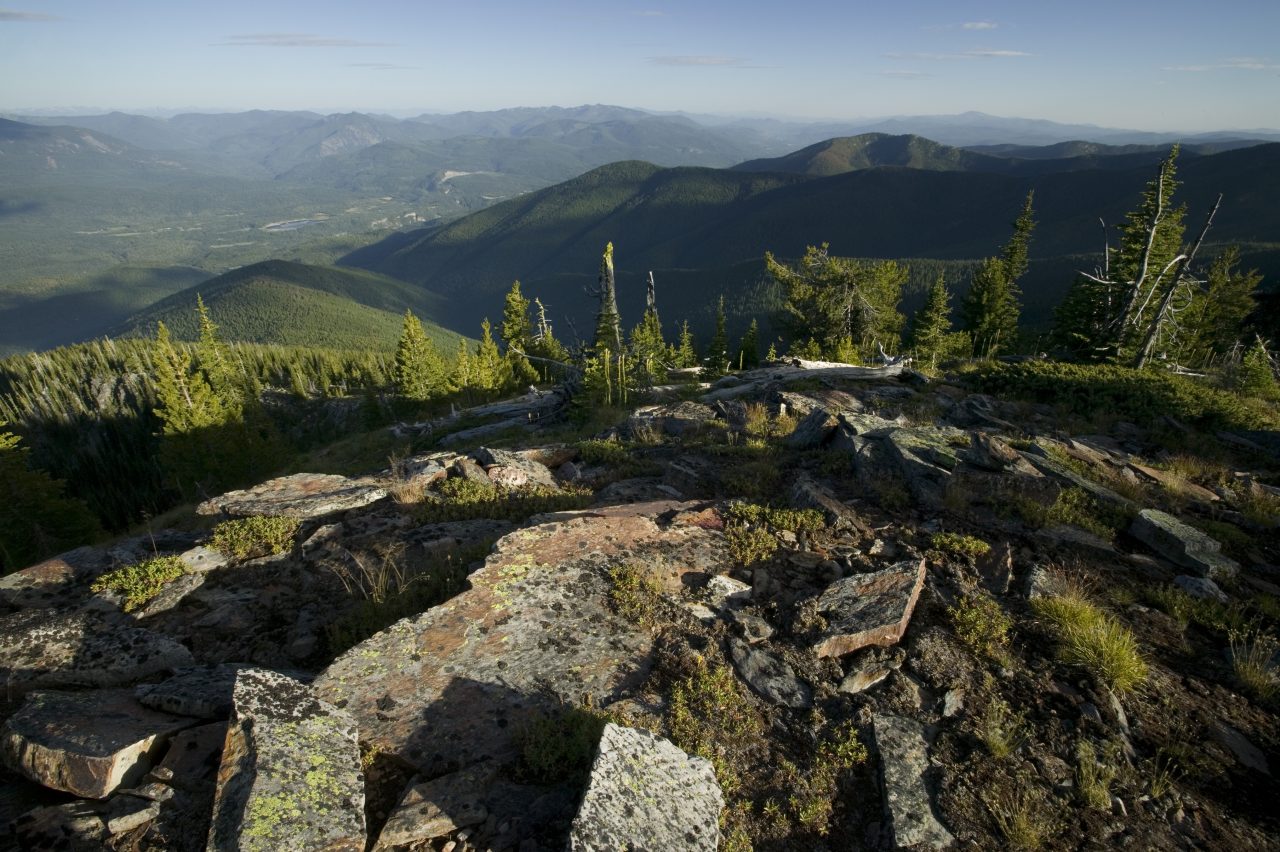Listening Sessions for Colville National Forest plan update ...