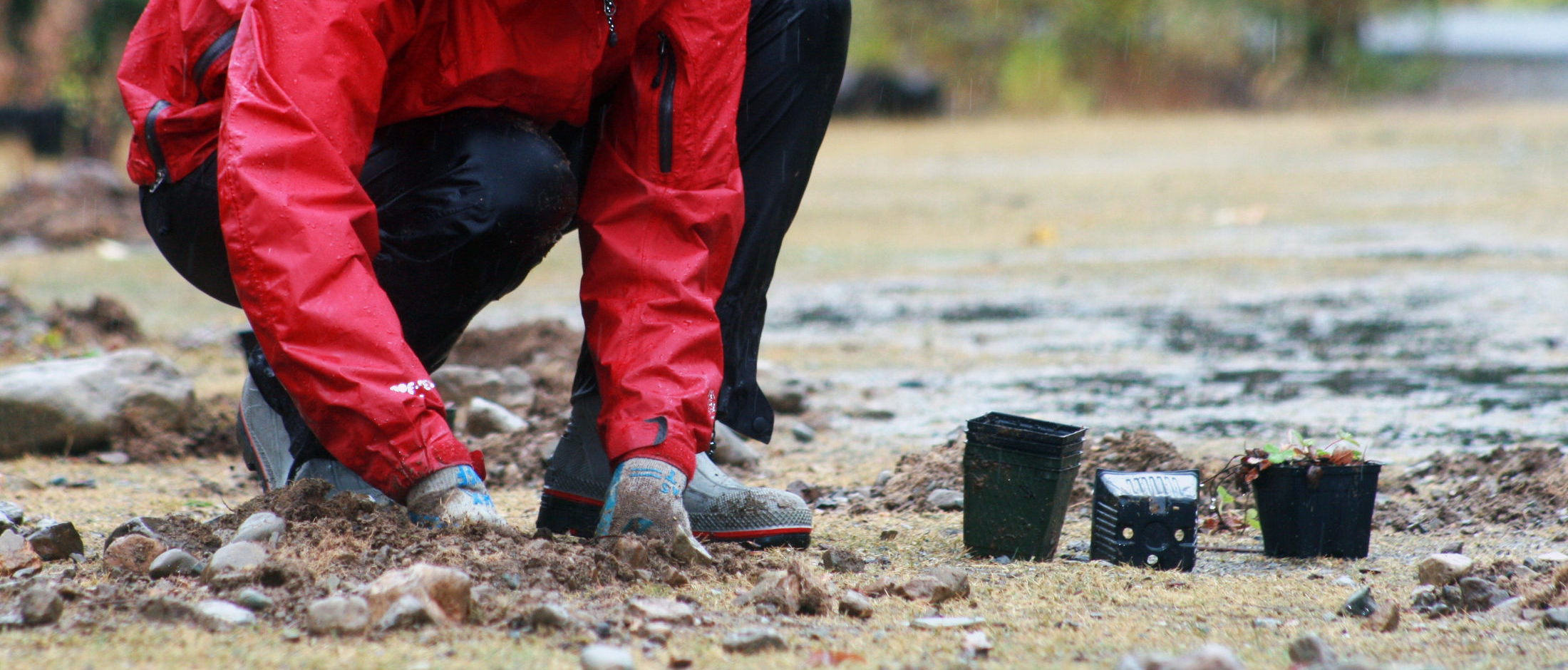 Volunteer | Conservation Northwest