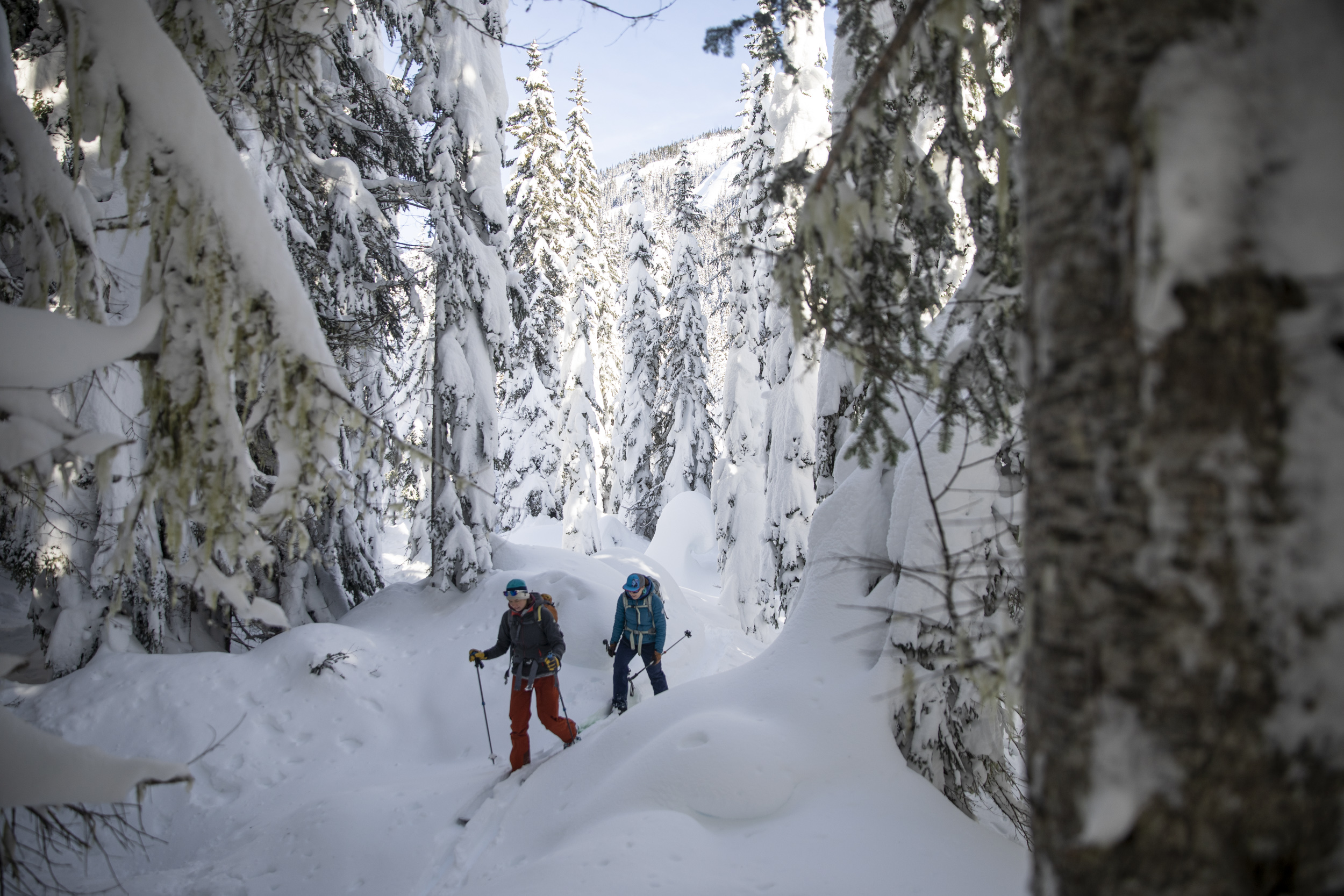 Introducing Chris Mason, Our Newest Conservation Northwest Board Member ...