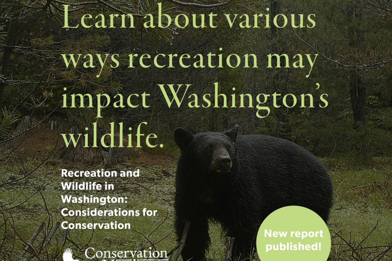 New report details various impacts that outdoor recreation can have on ...