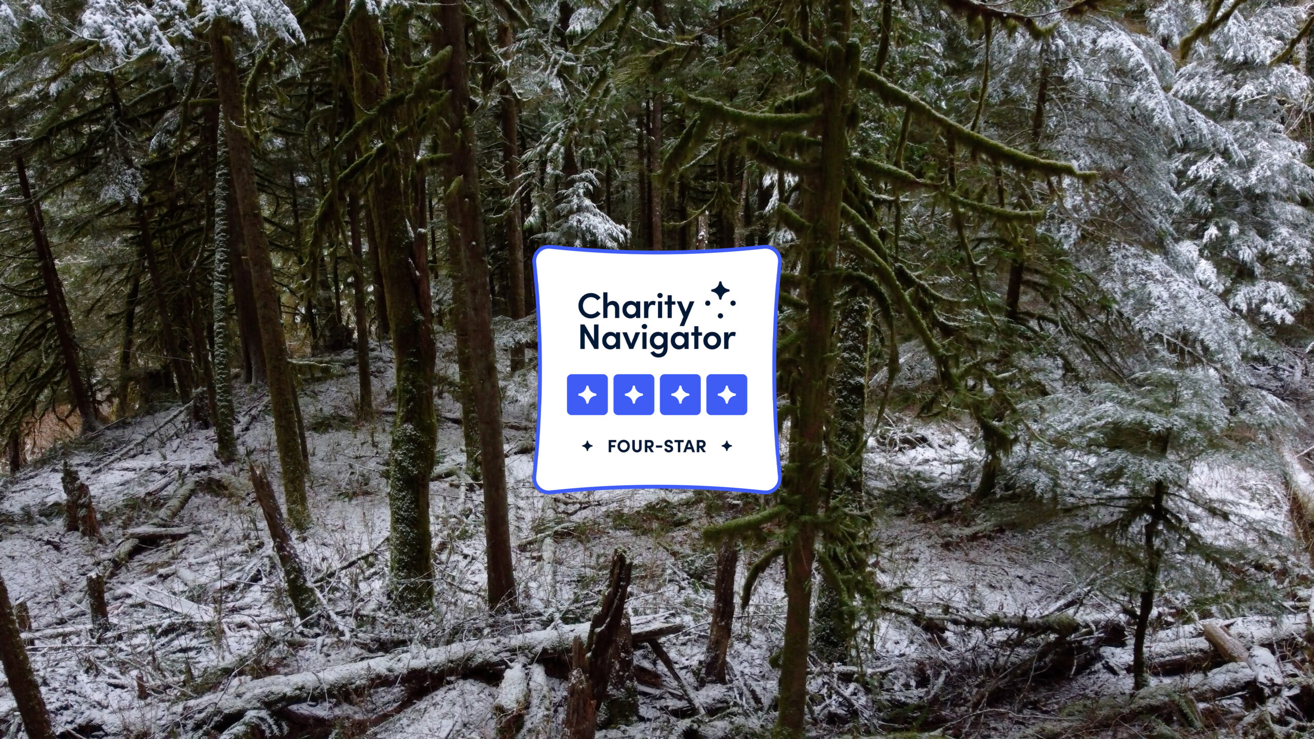 Conservation Northwest Earns a Four-Star Rating From Charity Navigator ...